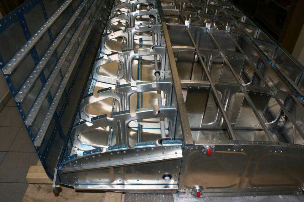 Right Wing – Murphy Rebel